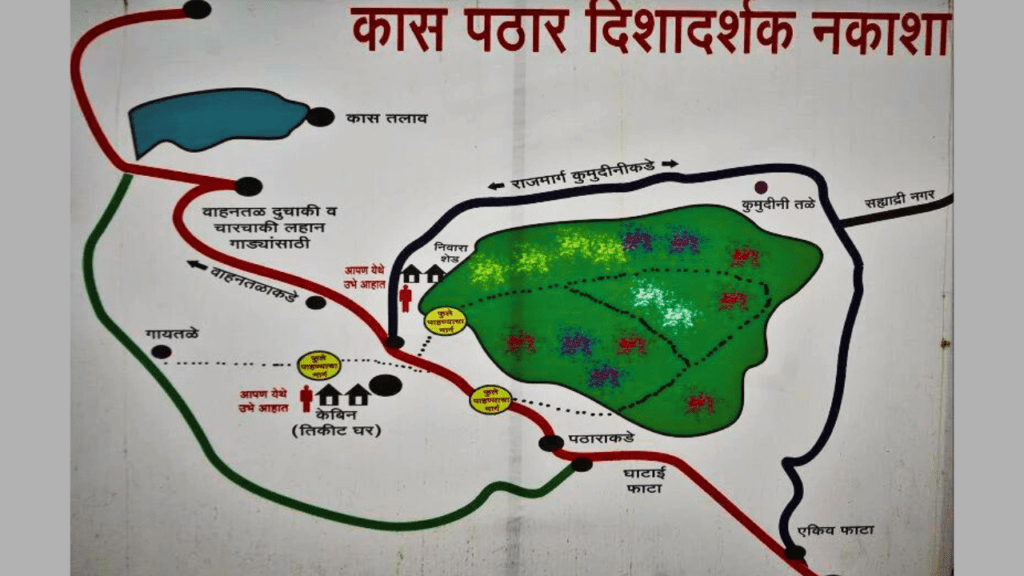 Exploring the Serene Beauty of Kas Pathar Kas Pathar Flower Valley