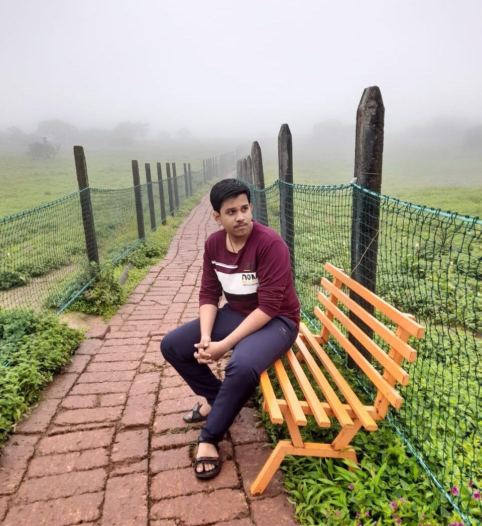 Kas Pathar | Kaas Plateau Flower Valley Satara